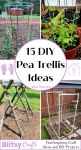 DIY Pea Trellis: 20 Ideas to Support Peas - Blitsy