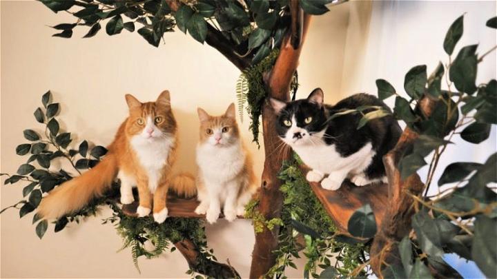 25 Free DIY Cat Tree Plans with Detailed Instructions - Blitsy