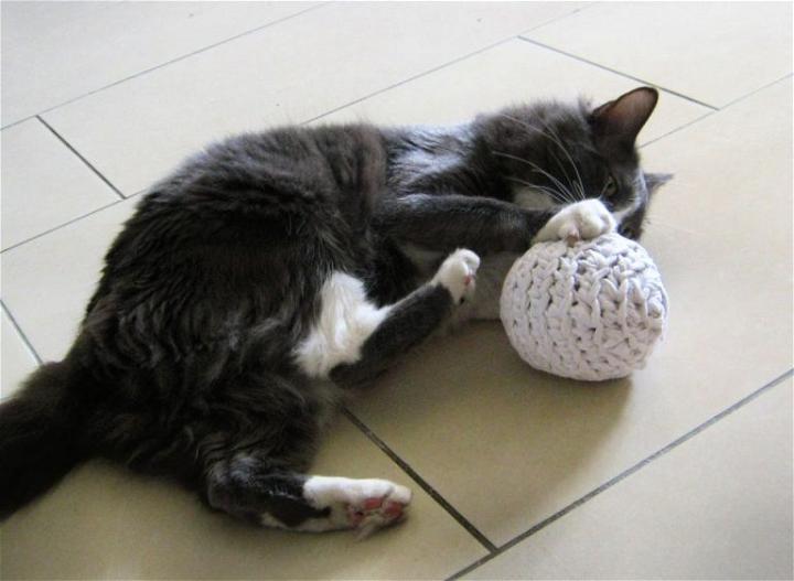 30 Cheap and Easy DIY Cat Toys To Make for Your Cats - Blitsy