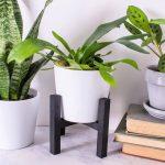 40 Free DIY Plant Stand Plans (Cheap and Easy to Build)