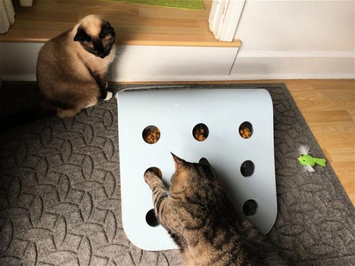 30 Cheap and Easy DIY Cat Toys To Make for Your Cats - Blitsy