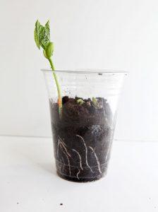 25 Small DIY Indoor Greenhouse Plans That Are Easy To Build