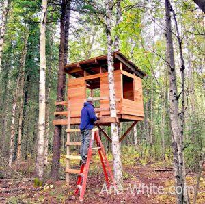 DIY Tree House (30 Free Plans) - Blitsy