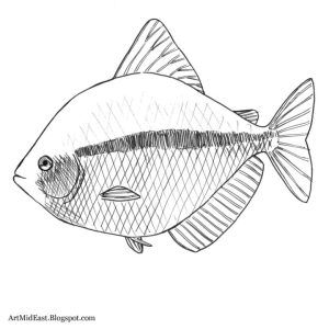 25 Easy Fish Drawing Ideas - How to Draw a Fish