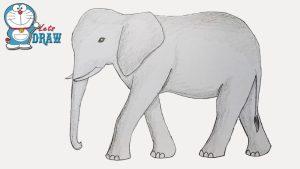 25 Easy Elephant Drawing Ideas - How to Draw an Elephant