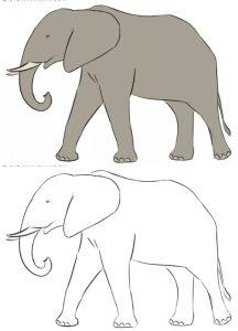 25 Easy Elephant Drawing Ideas - How to Draw an Elephant