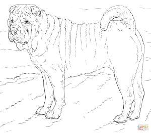 25 Free Printable Dog Coloring Pages for Kids and Adults