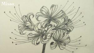 25 Easy Spider Drawing Ideas - How to Draw a Spider