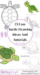 How to Draw an Easy Hawksbill Turtle - Killeen Thatter1999