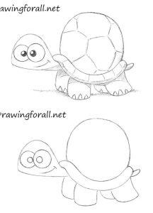 How to Draw an Easy Hawksbill Turtle - Killeen Thatter1999