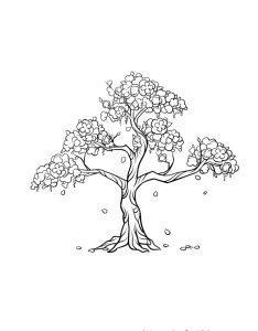40 Easy Tree Drawing Ideas - How To Draw A Tree - Blitsy