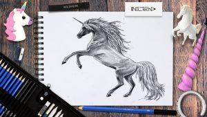 30 Easy Unicorn Drawing Ideas - How to Draw a Unicorn - Blitsy