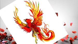 15 Easy Phoenix Drawing Ideas - How to Draw a Phoenix