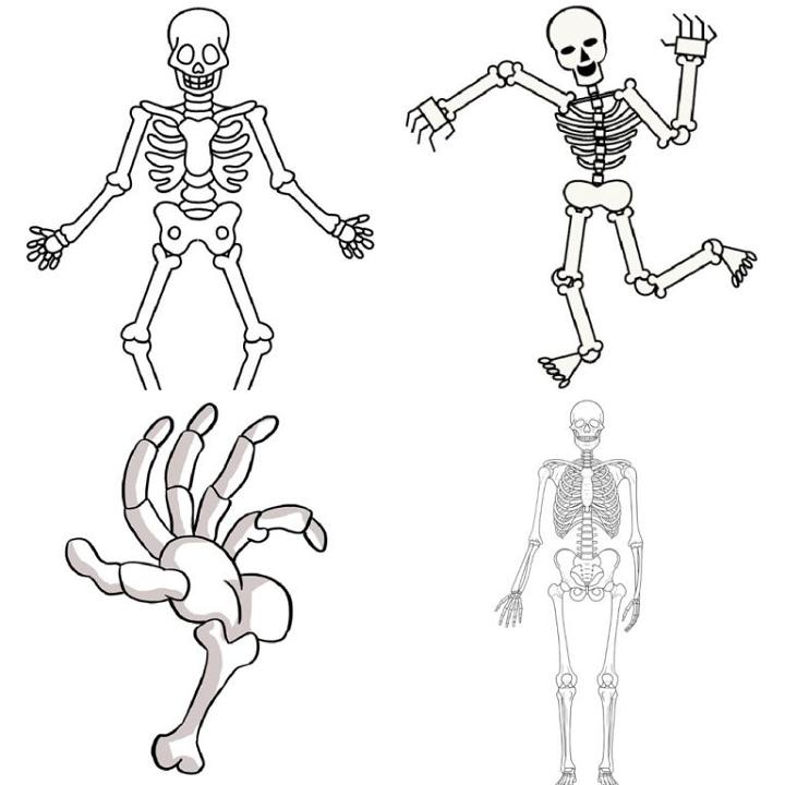 20 Skeleton Hand Drawing Ideas - How to Draw a Skeleton Hand
