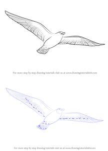 20 Easy Flying Bird Drawing Ideas - How To Draw A Flying Bird