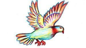 20 Easy Flying Bird Drawing Ideas - How To Draw A Flying Bird