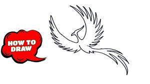 15 Easy Phoenix Drawing Ideas - How to Draw a Phoenix