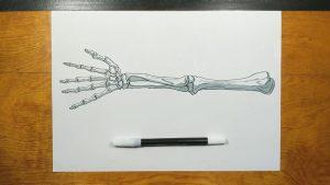 25 Easy Skeleton Drawing Ideas - How To Draw A Skeleton