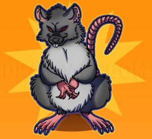 25 Easy Rat Drawing Ideas - How to Draw a Rat