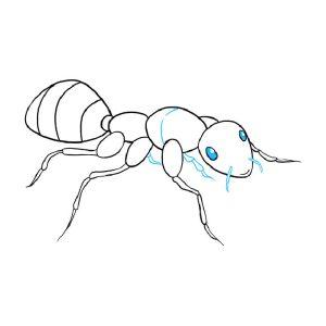 25 Easy Ant Drawing Ideas - How to Draw an Ant