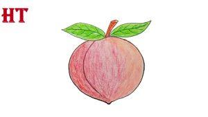 15 Simple Peach Drawing Ideas - How to Draw a Peach - Blitsy