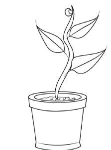 30 Easy Plant Drawing Ideas - How to Draw a Plant
