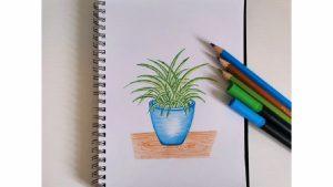 30 Easy Plant Drawing Ideas - How to Draw a Plant