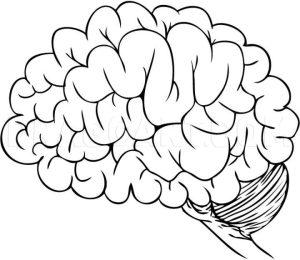 20 Easy Brain Drawing Ideas - How to Draw a Brain - Blitsy