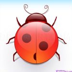 15 Easy Ladybug Drawing Ideas - How to Draw a Ladybug