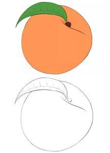 15 Simple Peach Drawing Ideas - How to Draw a Peach - Blitsy