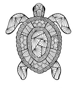 25 Free Turtle Coloring Pages for Kids and Adults