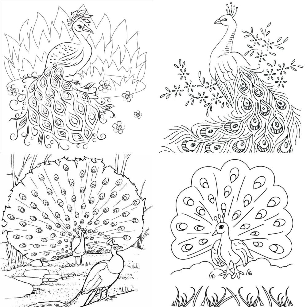 25 Free Peacock Coloring Pages For Kids And Adults 25 Free Peacock Coloring Pages For Kids And Adults