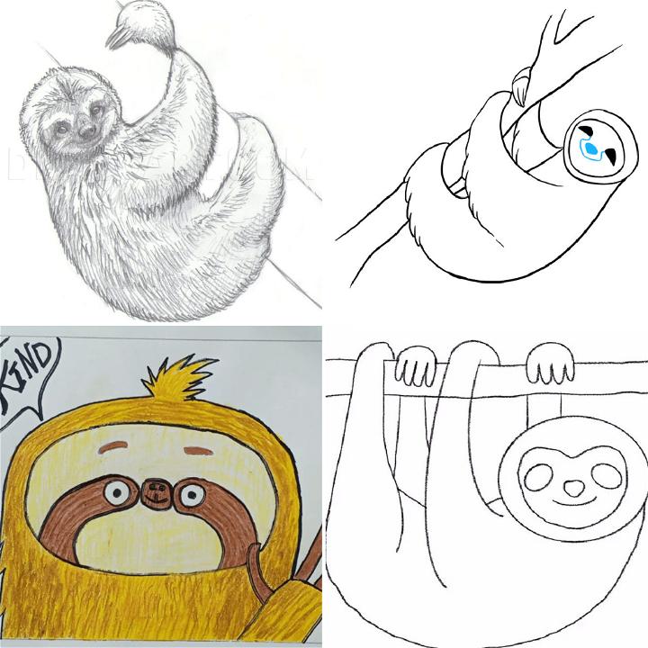 25 Easy Sloth Drawing Ideas - How to Draw a Sloth