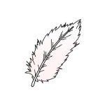 25 Easy Feather Drawing Ideas - How to Draw a Feather