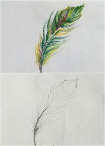 25 Easy Feather Drawing Ideas - How to Draw a Feather