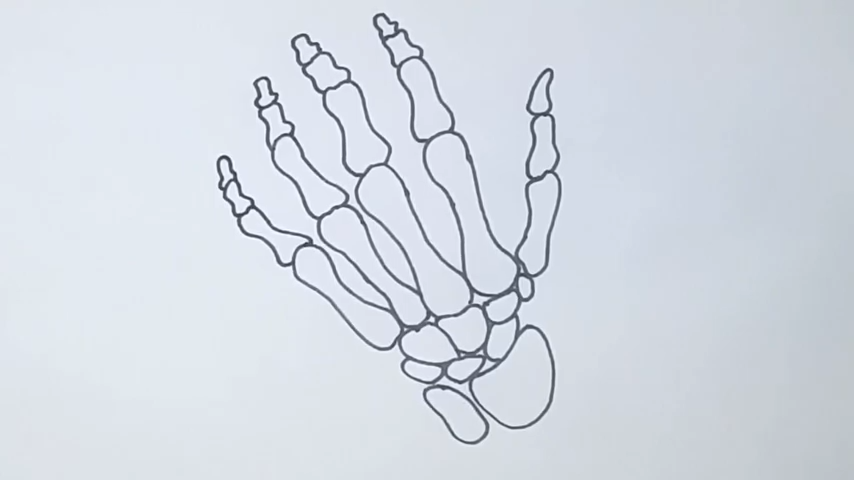 20 Skeleton Hand Drawing Ideas How To Draw A Skeleton Hand
