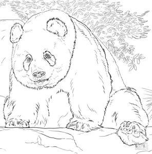 25 Free Panda Coloring Pages for Kids and Adults