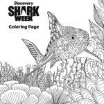 25 Free Shark Coloring Pages for Kids and Adults