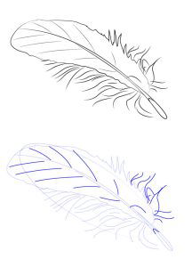 25 Easy Feather Drawing Ideas - How to Draw a Feather