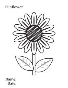 25 Free Sunflower Coloring Pages for Kids and Adults