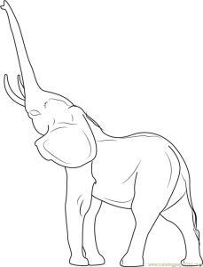 25 Free Elephant Coloring Pages for Kids and Adults