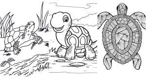 25 Free Turtle Coloring Pages for Kids and Adults