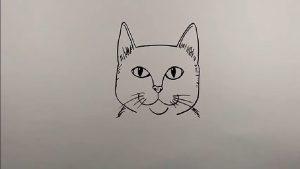 25 Cat Face Drawing Ideas - How to Draw a Cat Face
