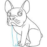20 Easy French Bulldog Drawing Ideas - How to Draw