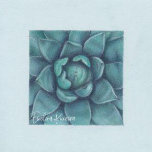 20 Easy Succulent Drawing Ideas - Draw a Succulent
