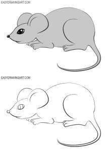 25 Easy Mouse Drawing Ideas - How to Draw a Mouse