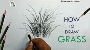25 Easy Grass Drawing Ideas - How to Draw Grass - Blitsy