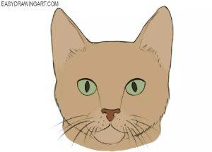 25 Cat Face Drawing Ideas - How to Draw a Cat Face