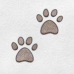 25 Easy Paw Print Drawing Ideas - How to Draw