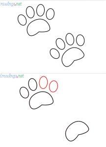 25 Easy Paw Print Drawing Ideas - How to Draw